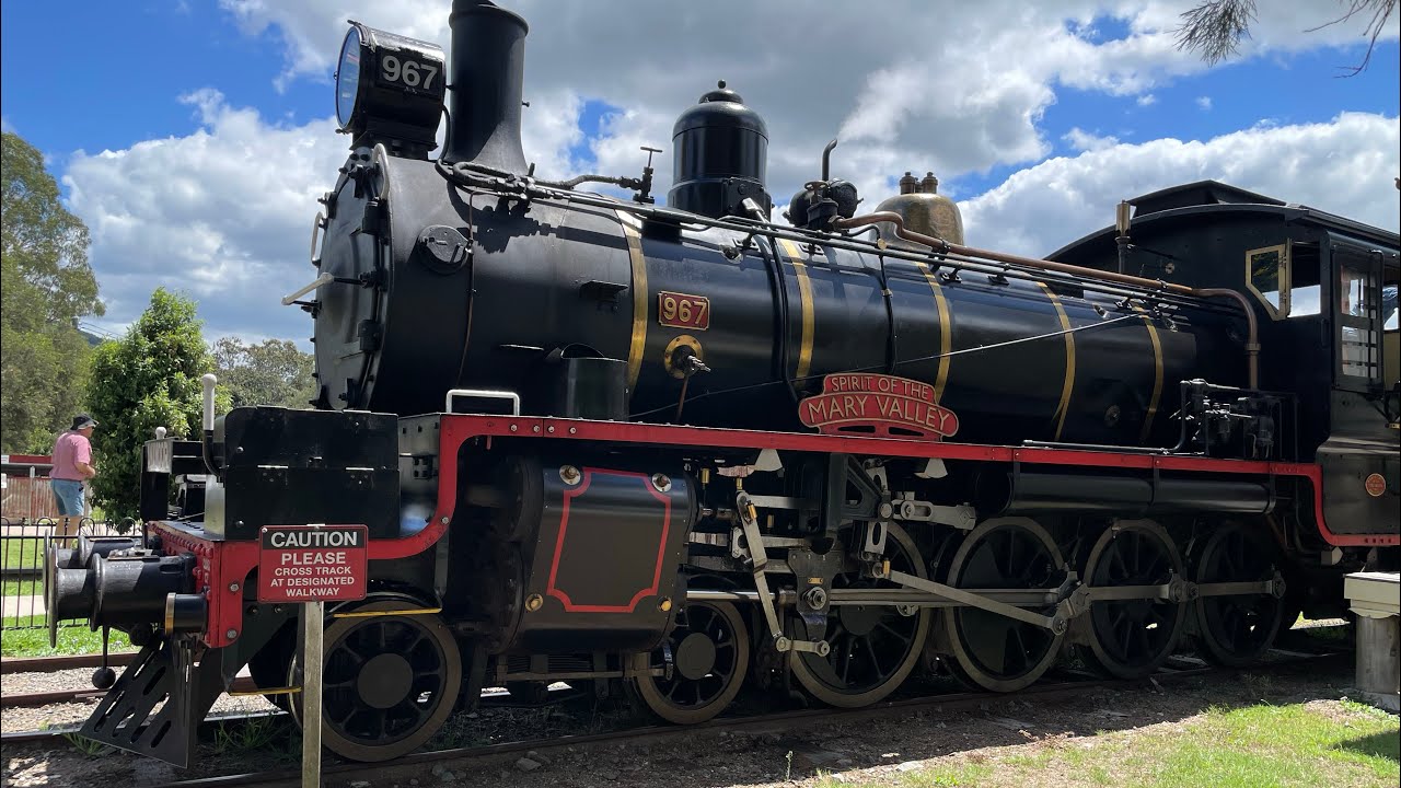 Road trip! Steam train at Gympie, dolphins in Tin Can Bay and sand in ...