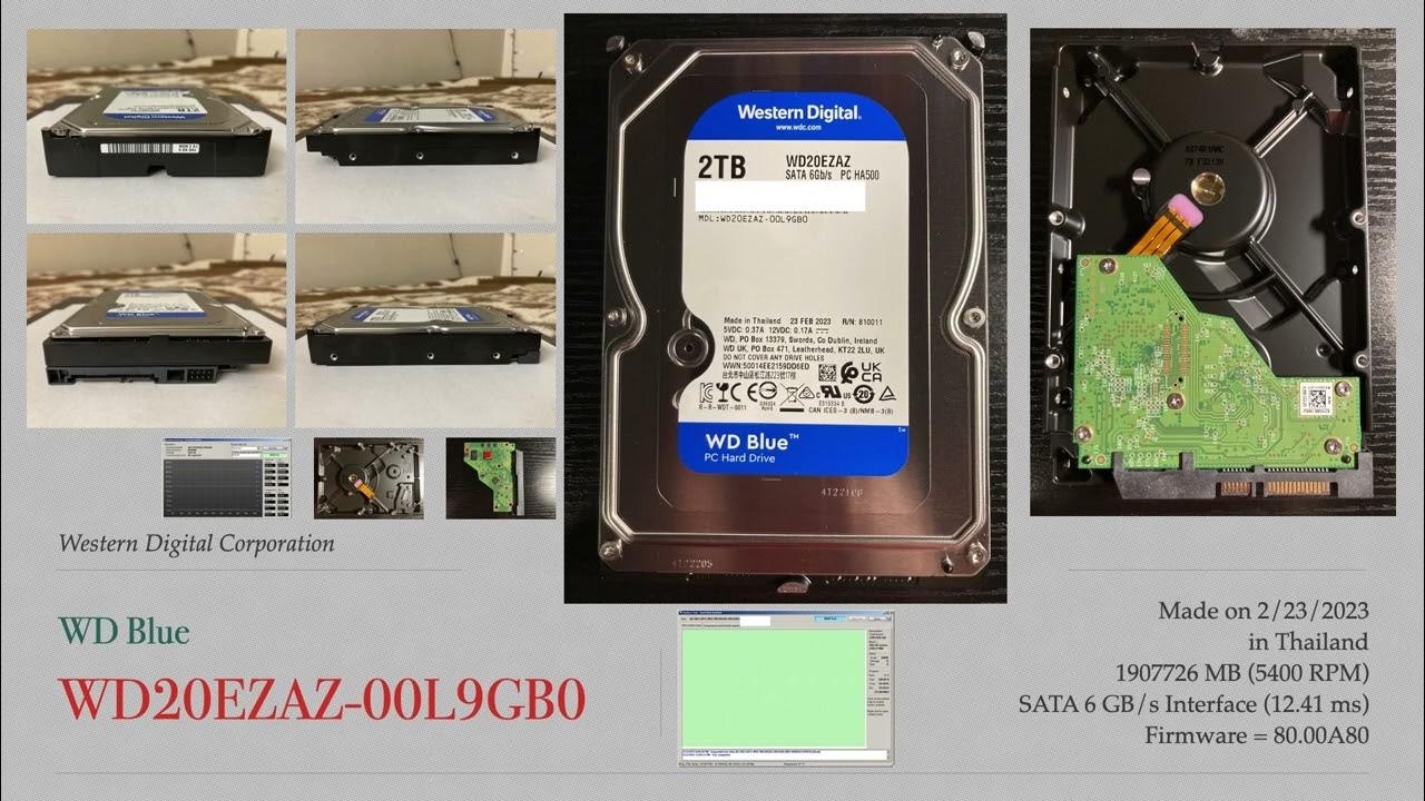 [NEW] Western Digital WD Blue (WD20EZAZ 00L9GB0) - YouTube