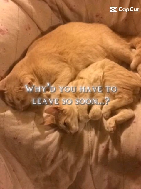 whyd u have to leave so soon - YouTube