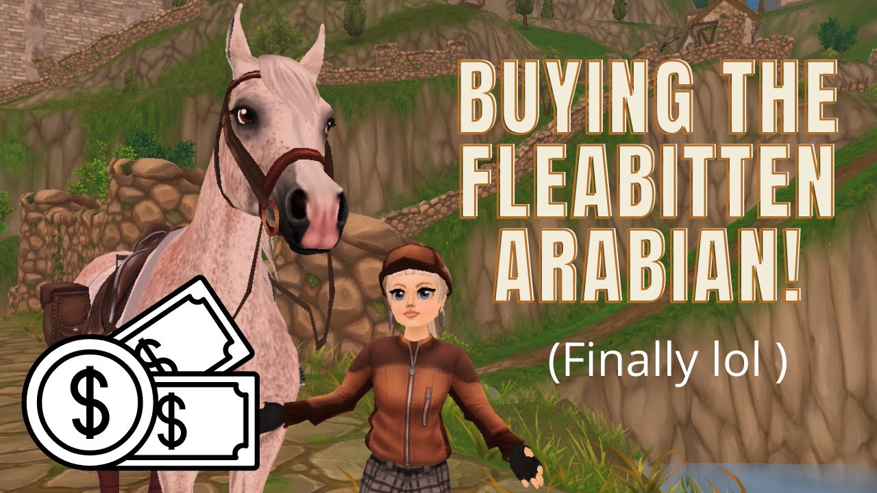 Buying the Fleabitten Arabian!! 🤎 | SSO - YouTube