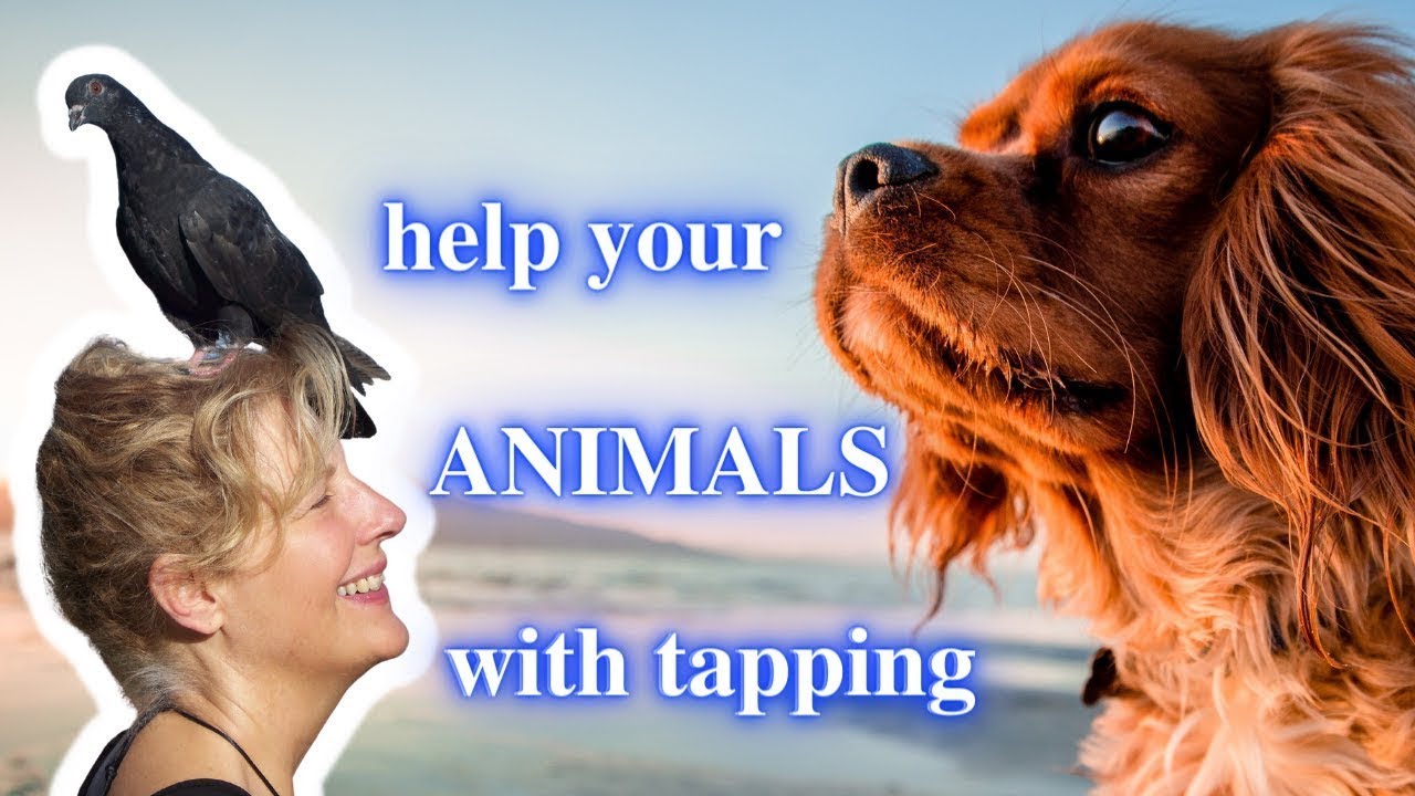 EFT Tapping for Animals & Pets with Sharon Smith - YouTube