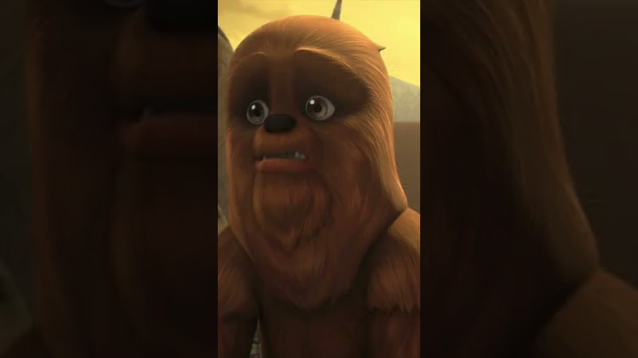 Pictuers Of Baby Wookies