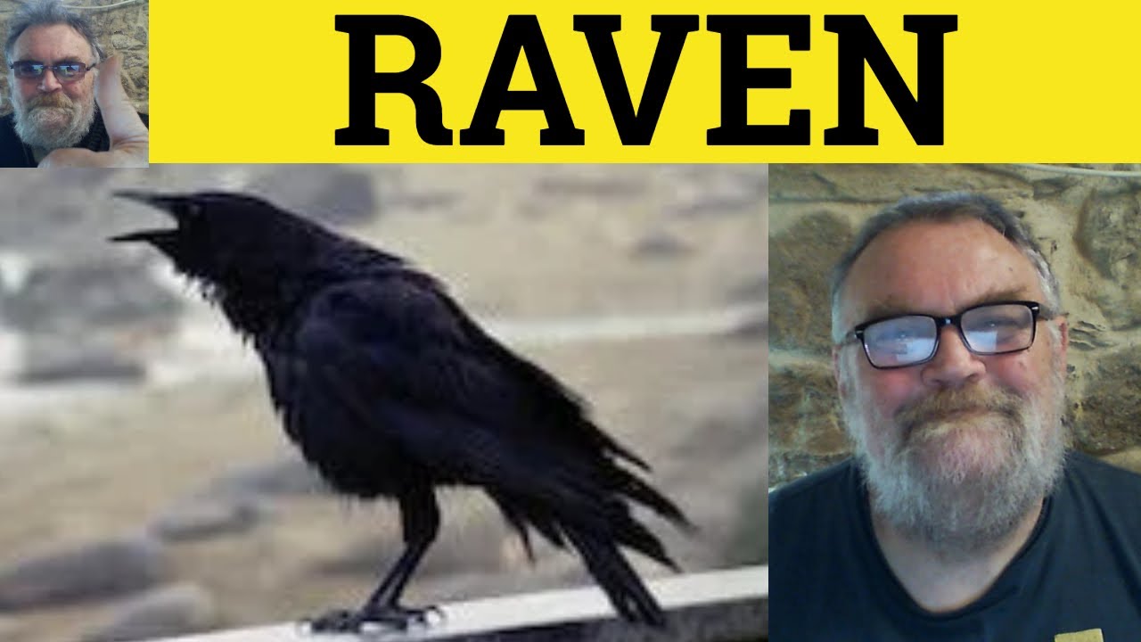 🔵 Raven Meaning - Black As a Raven Examples - Rook Defined - Raven and ...