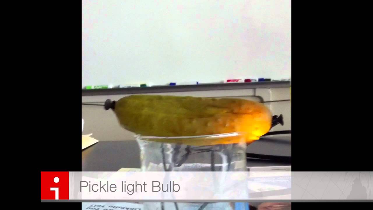 Pickle Light Bulb - YouTube