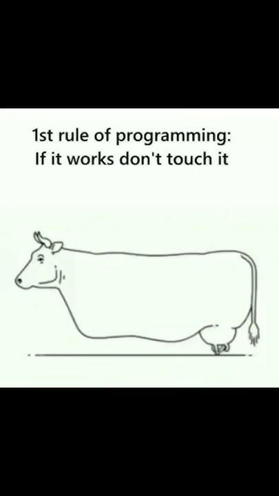 Coding Programming Programmer Codinglife Python Webdevelopment Codingmemes Shorts Youtube