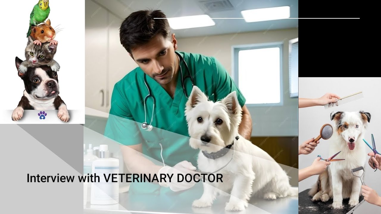 PETS CARE. Joining us DOCTOR.#eduquest #eduquestcourses # ...
