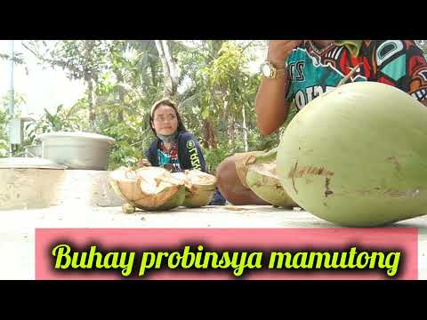 buhay probinsya 😱#nhenz vlog - YouTube