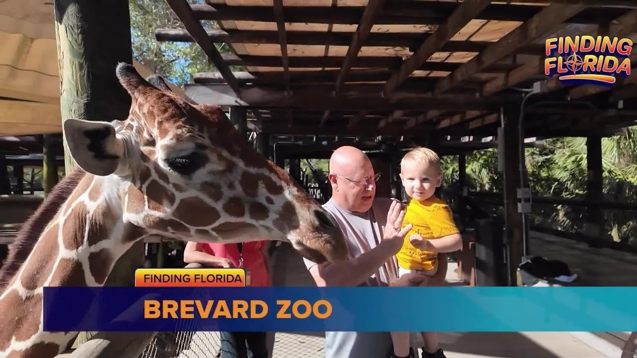 Get up close with exotic animals at Brevard Zoo - YouTube