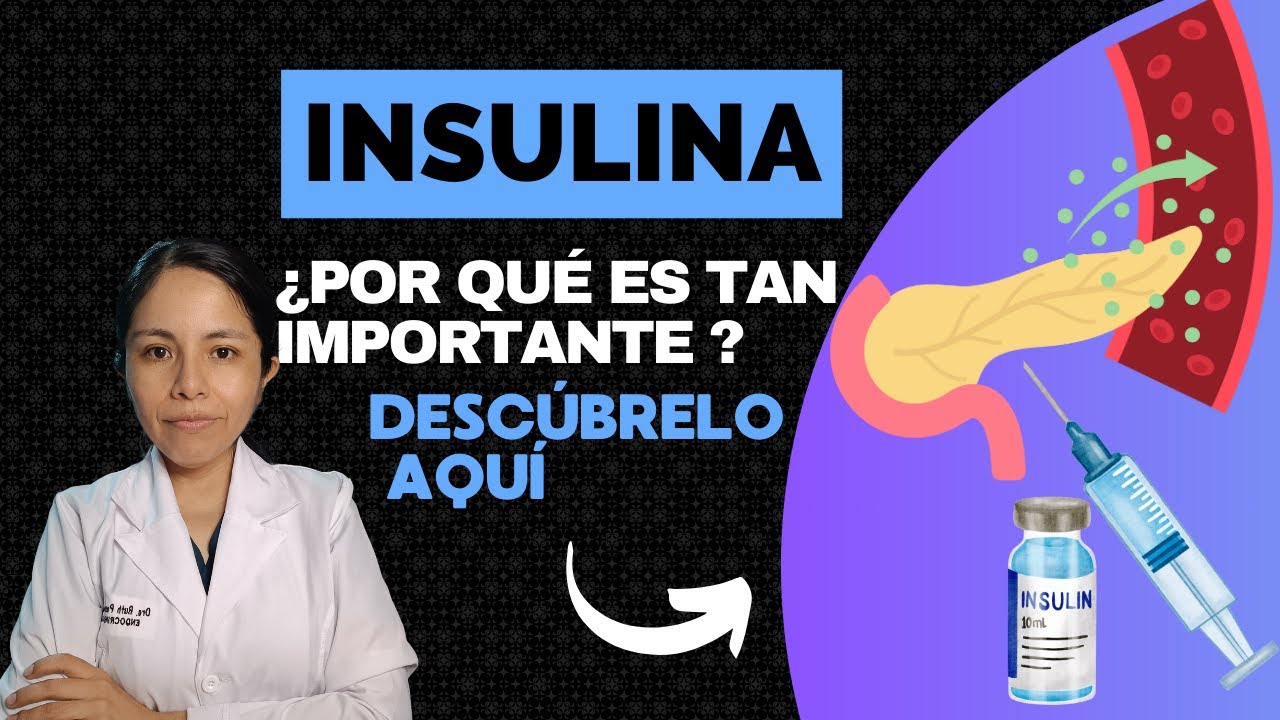 ¿Cómo se Produce la INSULINA y cuales son sus funciones? - YouTube