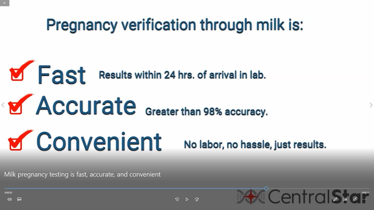 Milk pregnancy testing is fast, accurate, and convenient - YouTube
