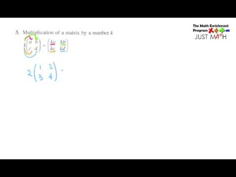 Multiplication of a constant into a matrix - YouTube