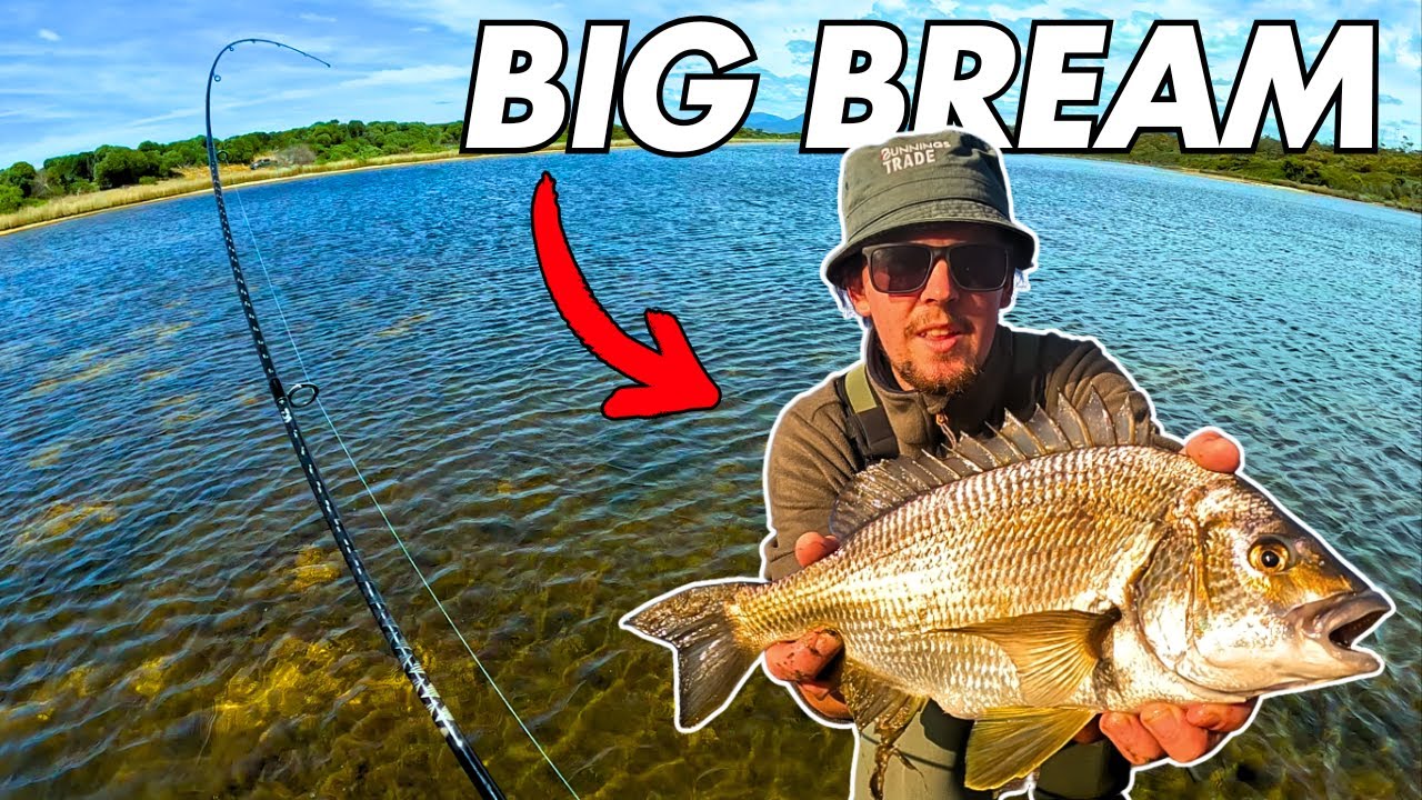 BIG BREAM in LANDLOCKED LAGOON - YouTube
