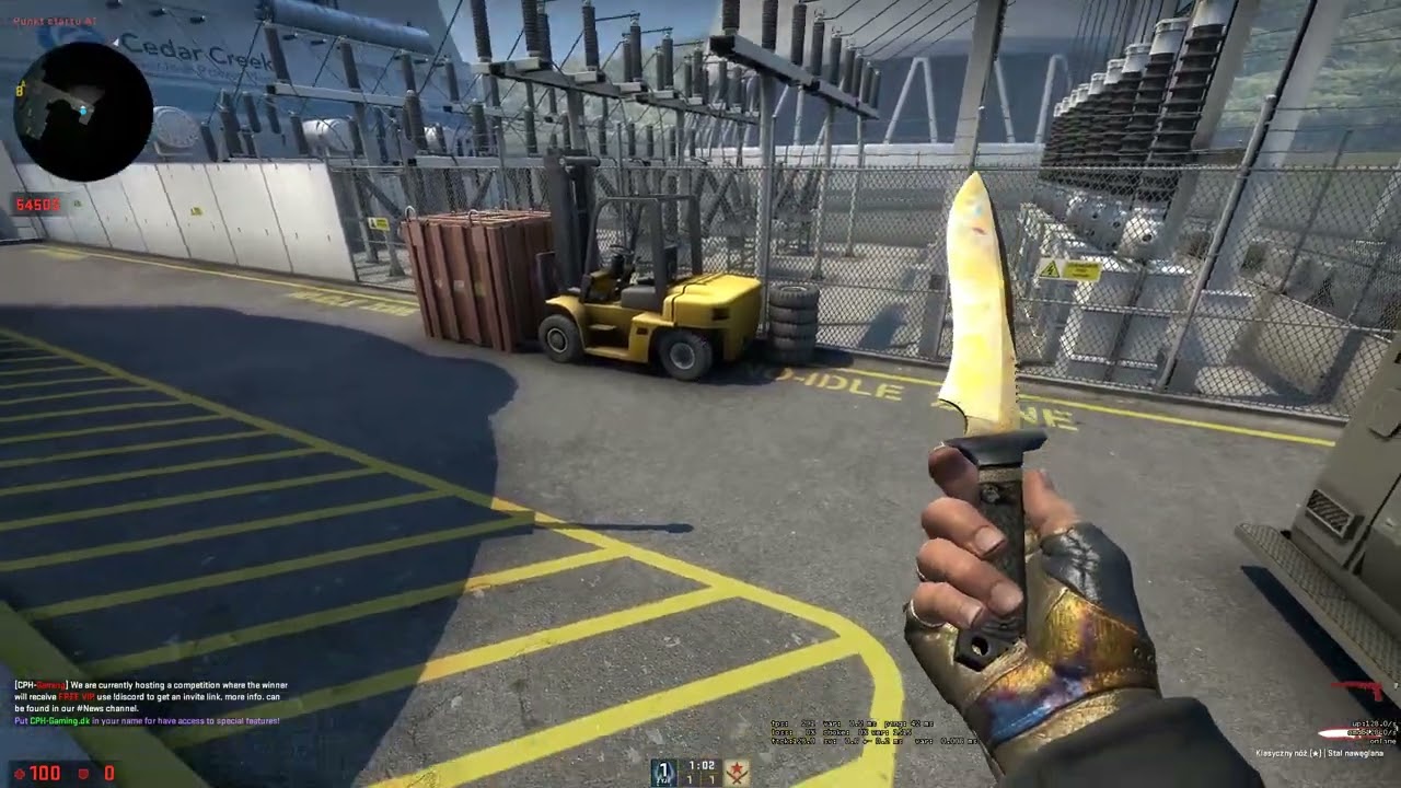 CS:GO CLASSIC KNIFE CASE HARDENED FACTORY NEW+HYDRA GLOVES CASE ...