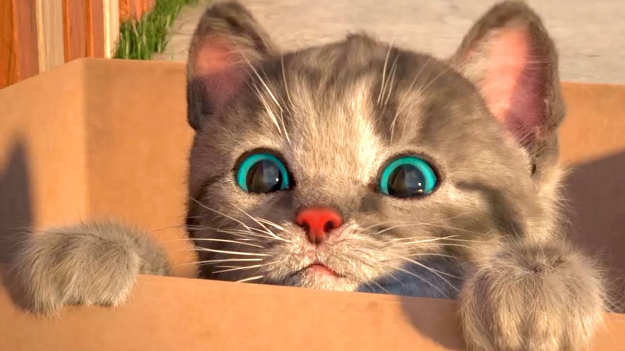 EDUCATION CARTOON LITTLE KITTEN ADVENTURE ANIMATION FOR KIDS AND ...