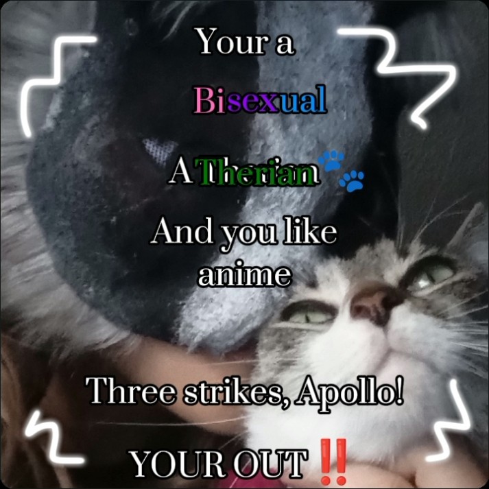 Aw darn {#furry #theriantropy #anime #bisexual #antizoo #southparkaudio ...