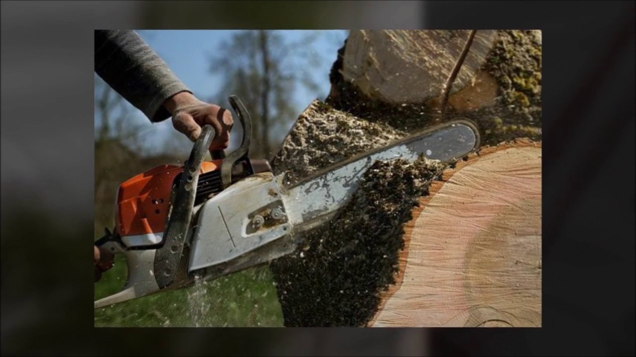 First Call Tree Services Texas - Trust The Experts - YouTube