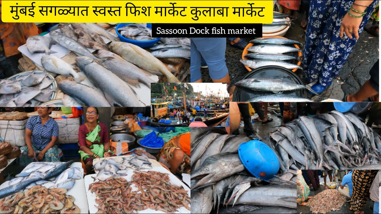 कुलाबा मच्छी मार्केट| colaba fish market | Sassoon Dock fish market ...