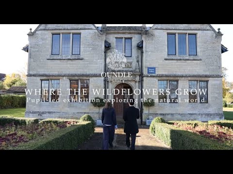 Where the Wildflowers Grow | Pupil-led art exhibition at The Yarrow ...