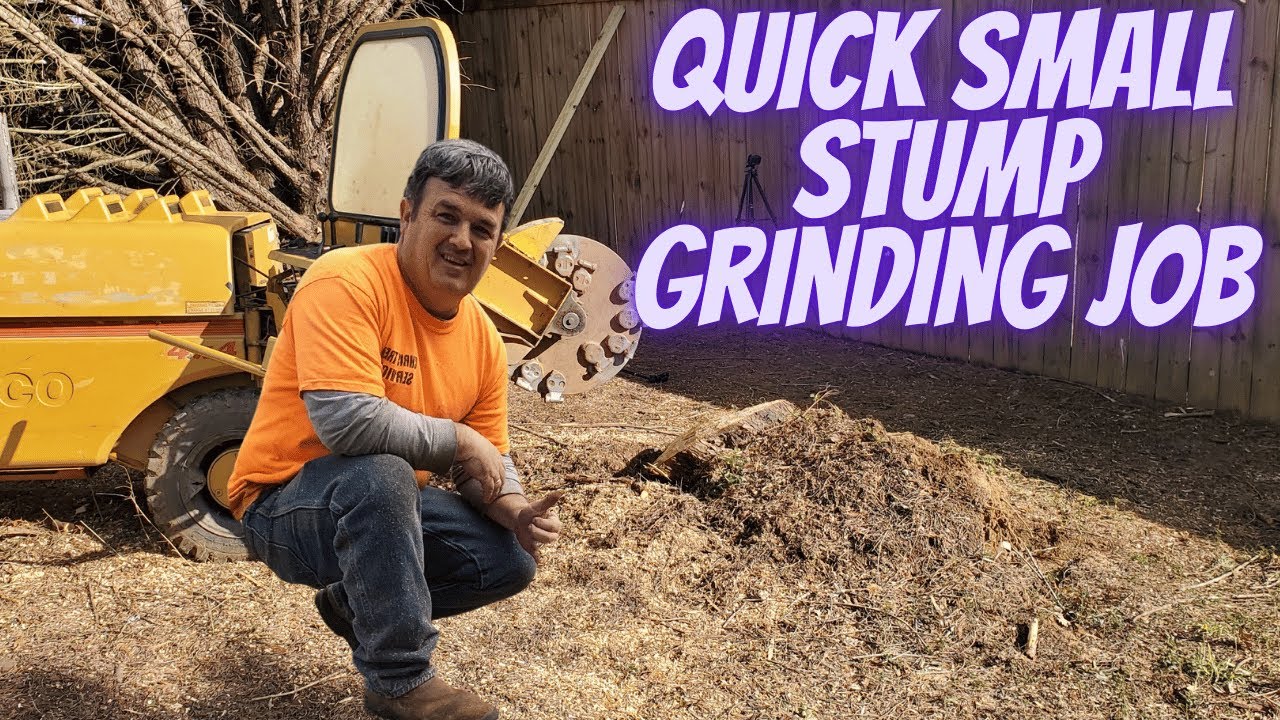 Doing a Quick Small Stump Grinding Job - YouTube
