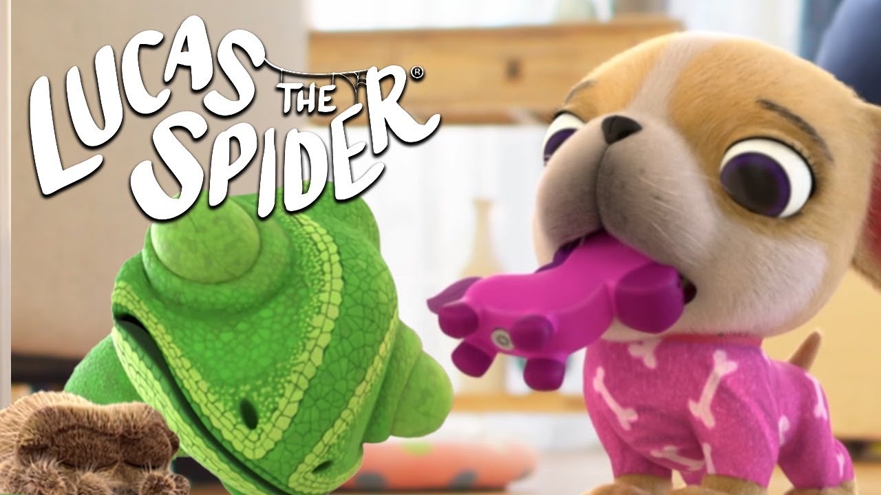 Avocado's Puppy Chew Toy is TOO LOUD! | Lucas The Spider - YouTube