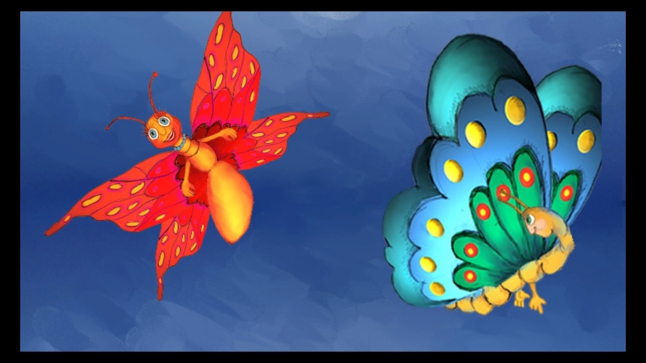 Cartoon for Kids : DIAPORAMA Butterfly Birth - YouTube
