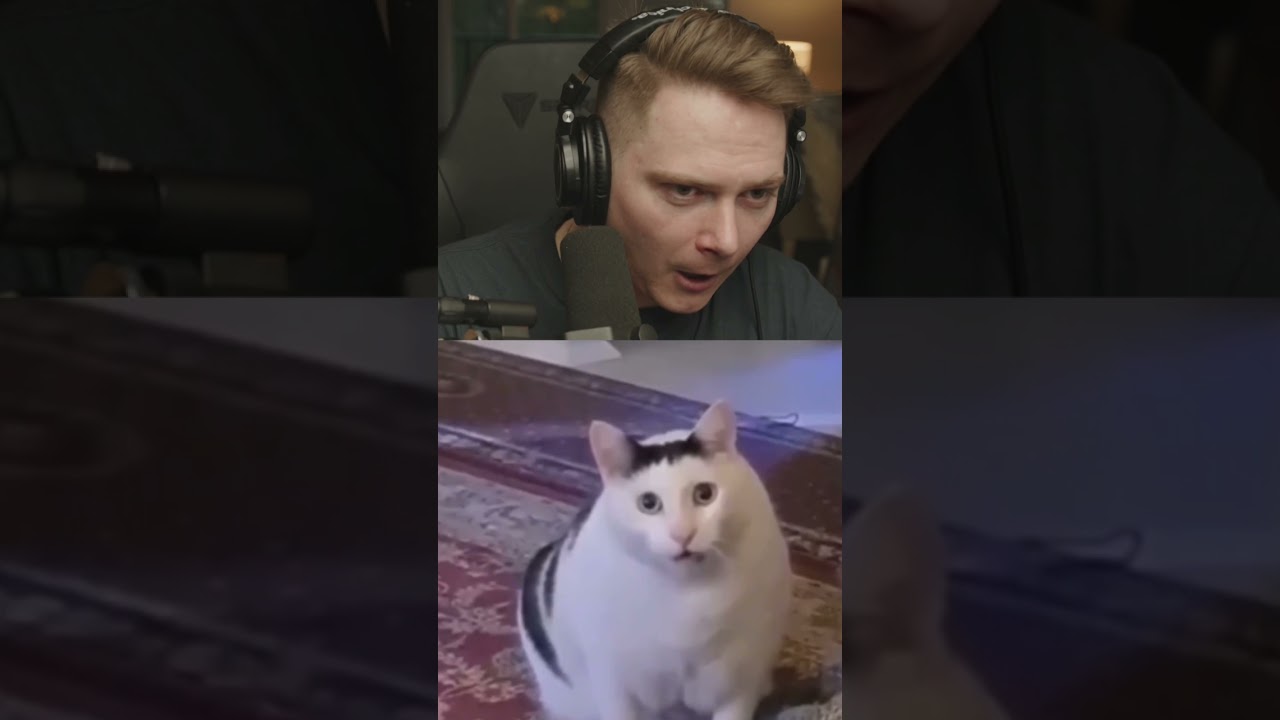 Mostly Hampter Memes - YouTube