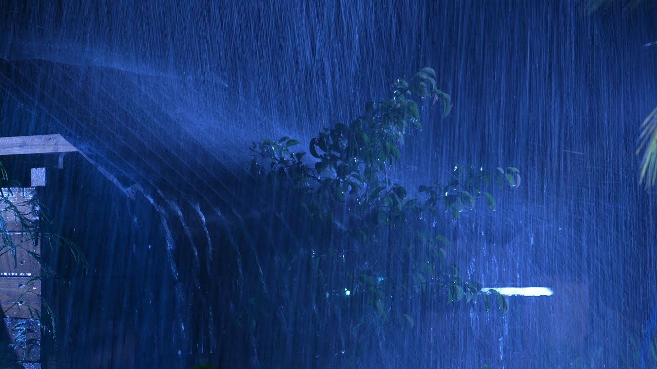 Gentle Rain with Loud Thunder Sounds to Sleep in 5 Minutes | Rain on ...