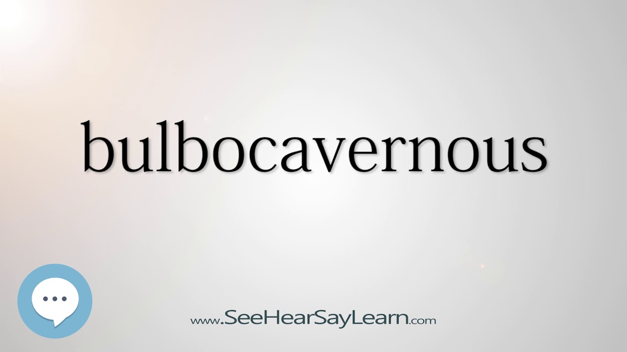 bulbocavernous - YouTube