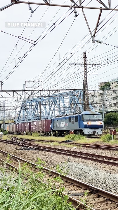 (貨物列車) 2024/10/06 1098レ EF210-104 + コキ20B (+122分) (名古屋タ〜八戸貨物) #Shorts - YouTube