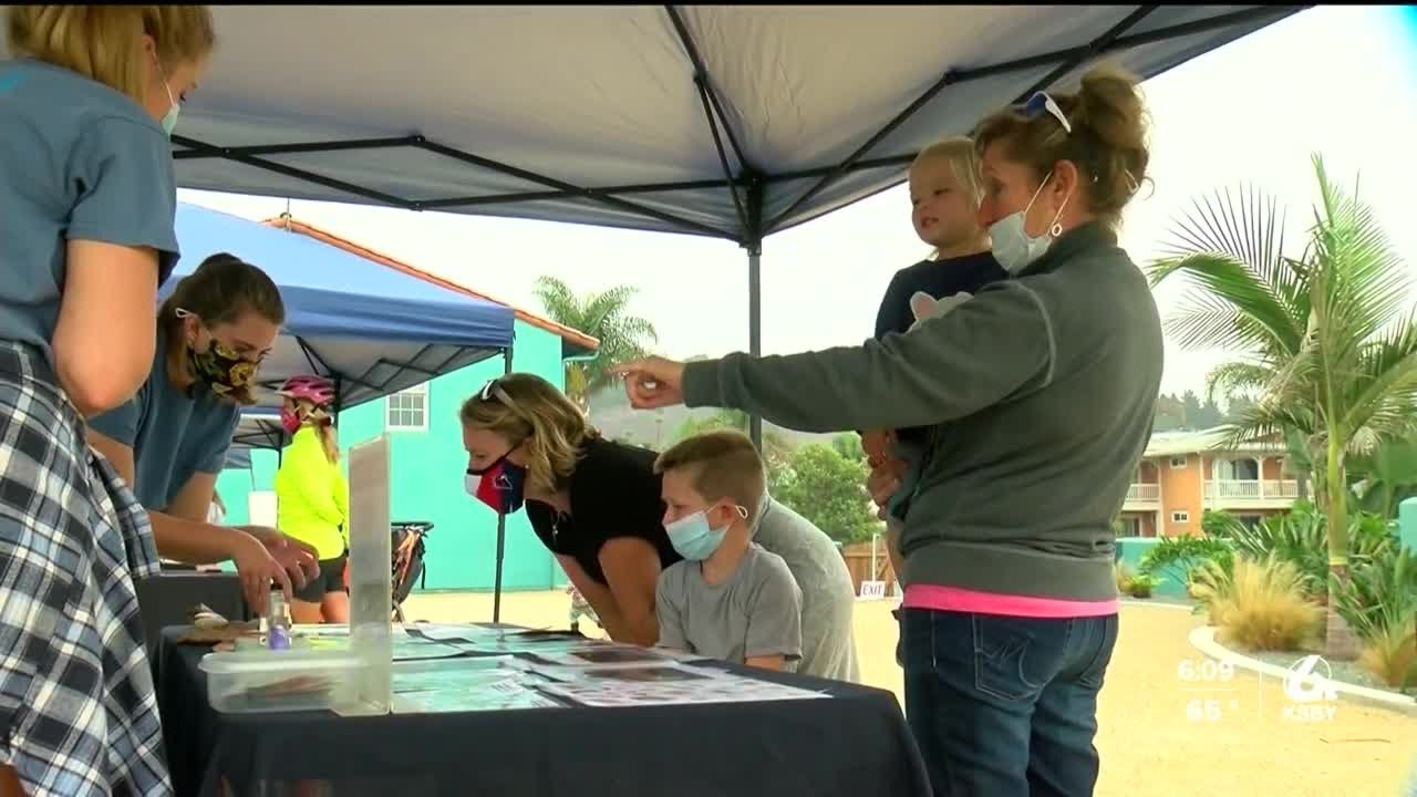 Families interact with sea creatures at Central Coast Aquarium's ...