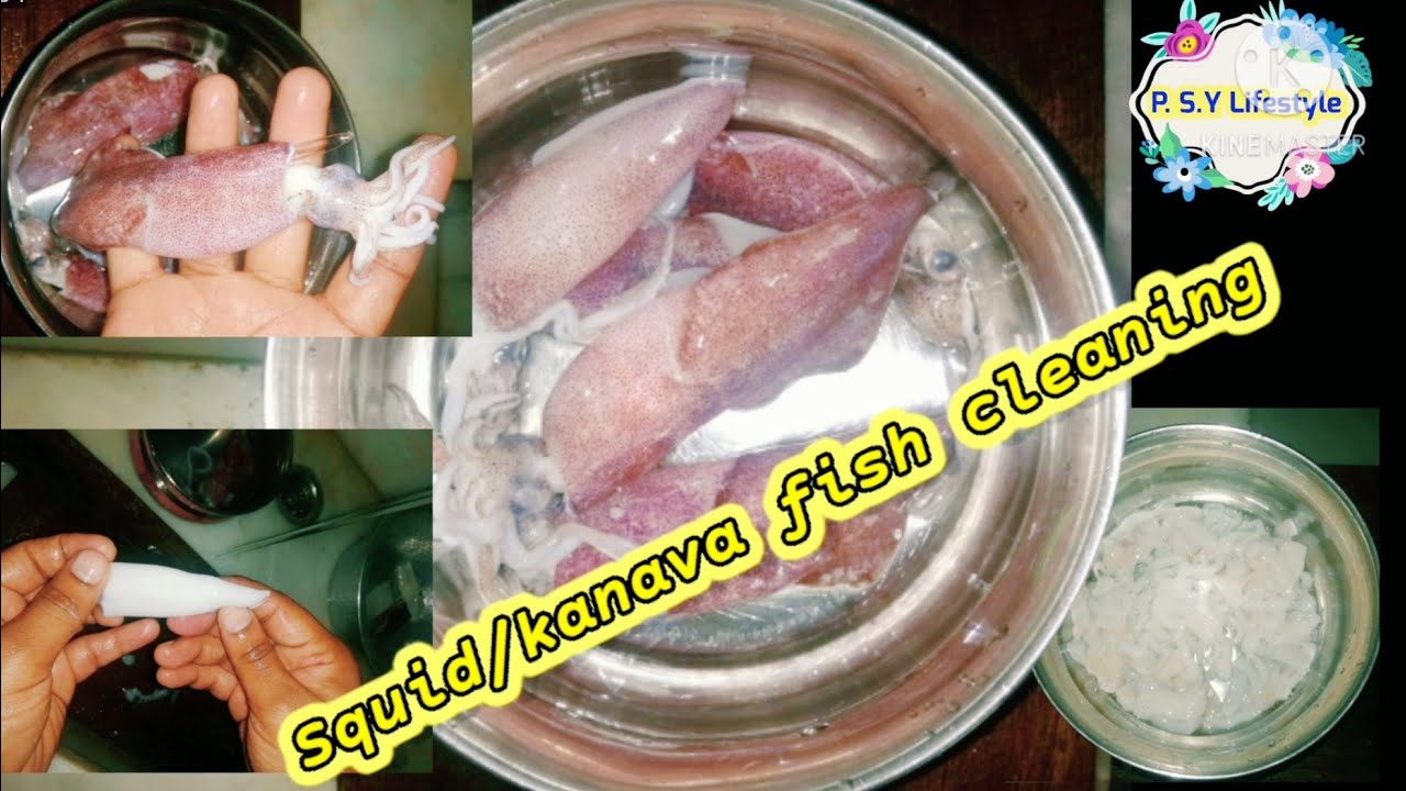 How to clean squid fish / kanava cleaning |(P.S.Y Lifestyle) - YouTube