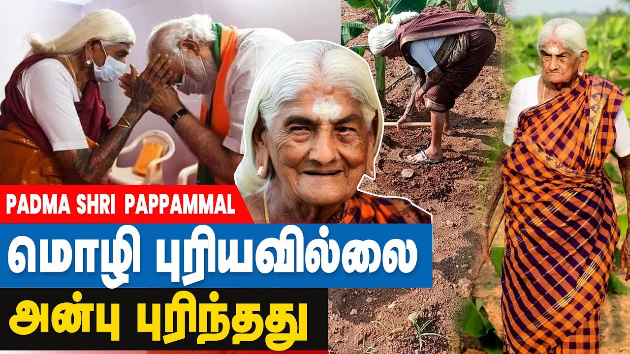 105 வயதில் இயற்கை விவசாயம் - Padma Shri Pappammal Interview | IBC Tamil ...