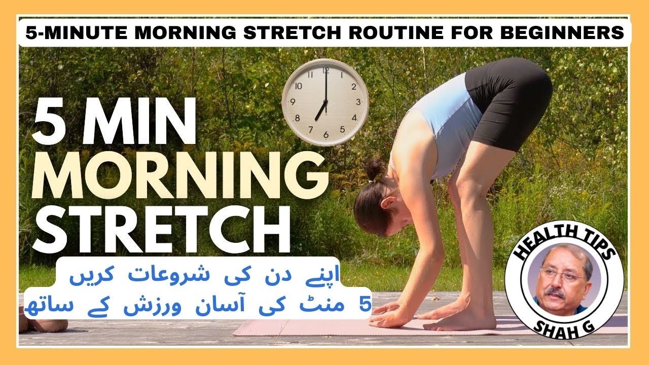 5-Minute Morning Stretch Routine for Beginners - YouTube