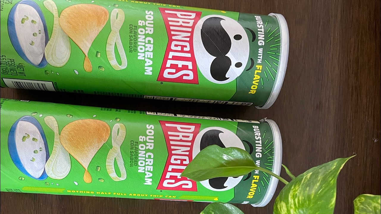 Genius Pringle Box Craft Idea You Must TryI DIY Organizer I Best Out of ...