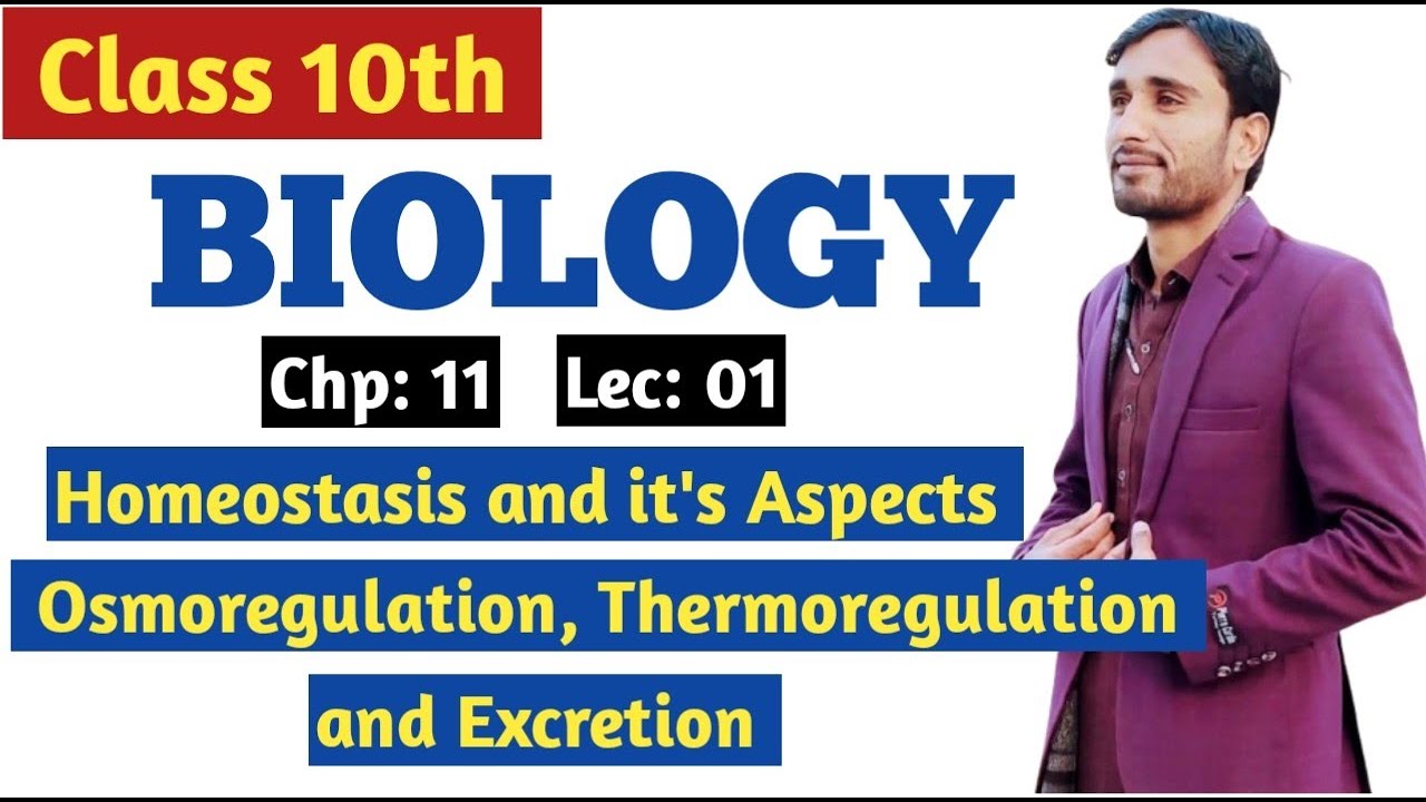 Homeostasis and its Aspects || Osmoregulation, Thermoregulation ...