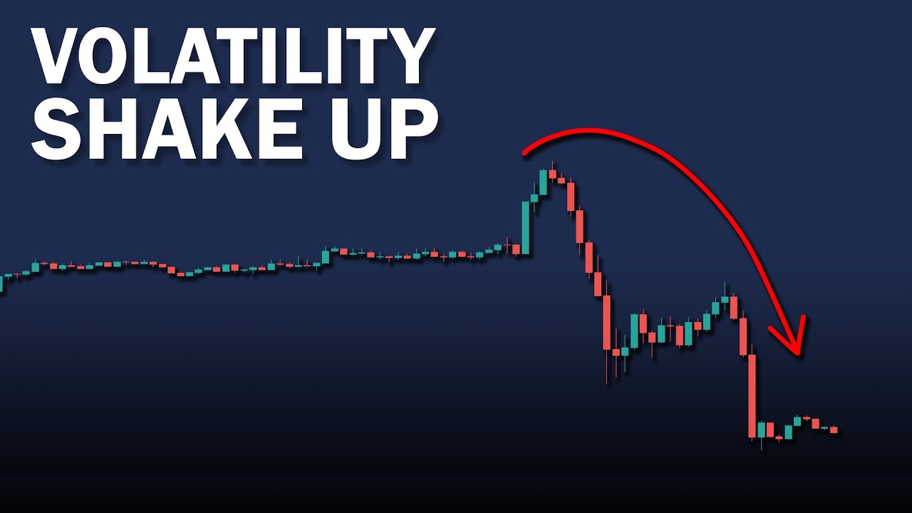 Will Bears Carry This MOMENTUM? - YouTube