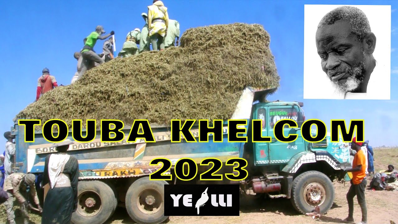TOUBA KHELCOM 2023: Les moments forts - YouTube