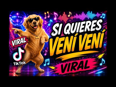 Música TikTok si quieres venir veni, pista si quiere veni veni 