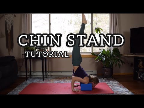 Chin Stand Tutorial | Advanced - YouTube