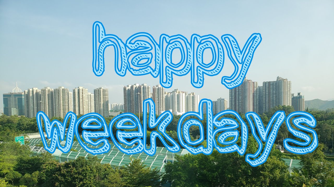 happy weekdays || quick live update - YouTube