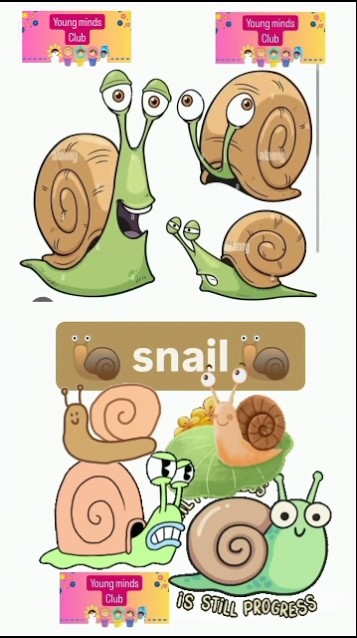 Snail 🐌 snails are not insects 🐌 fun facts 🐌 #kids #education #learning ...