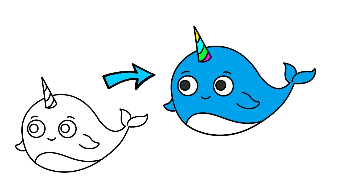 how to draw a narwhal - YouTube