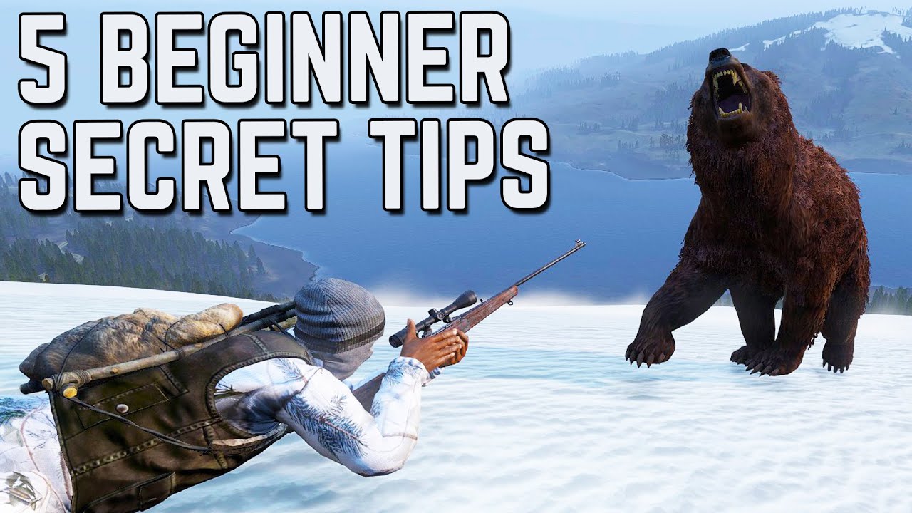 5 DAYZ BEGINNER TIPS (NAMALSK) - YouTube