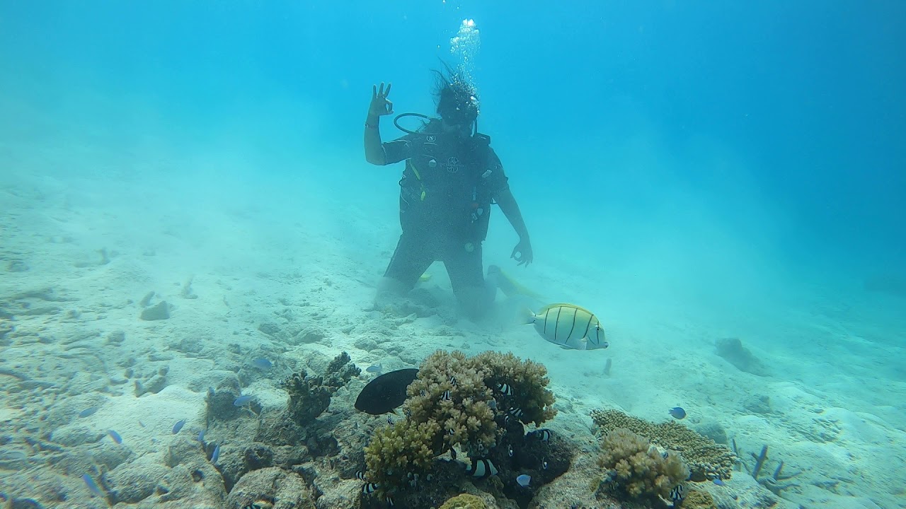 Laccadive Sea: Scuba Diving in Maldives - YouTube