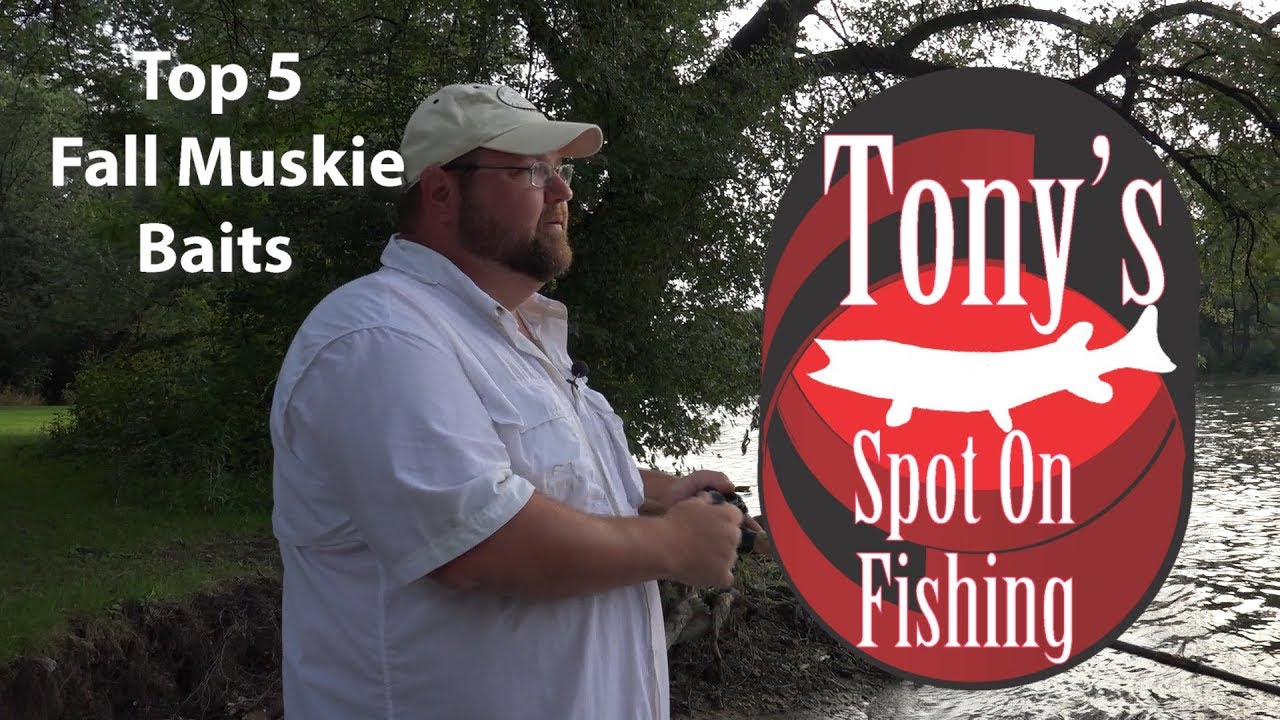 Top 5 Fall Muskie Baits - YouTube