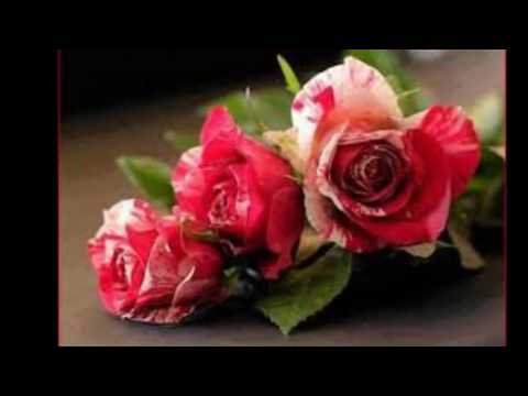ben başımın çaresine bakayım