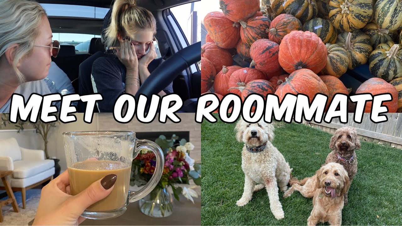 We Got A Roommate!! | Rachel Ratke - YouTube
