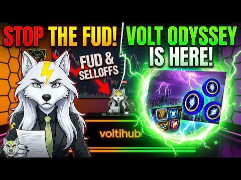 The Real Story Behind Volt Inu's Recent Crash