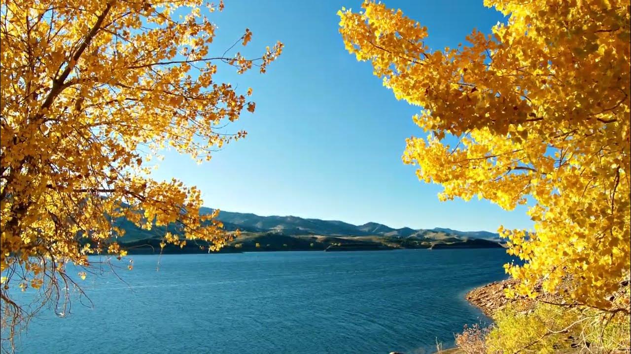 "Whispers of Serenity: GENTLE Breezes Caressing Nature's Leaves ...