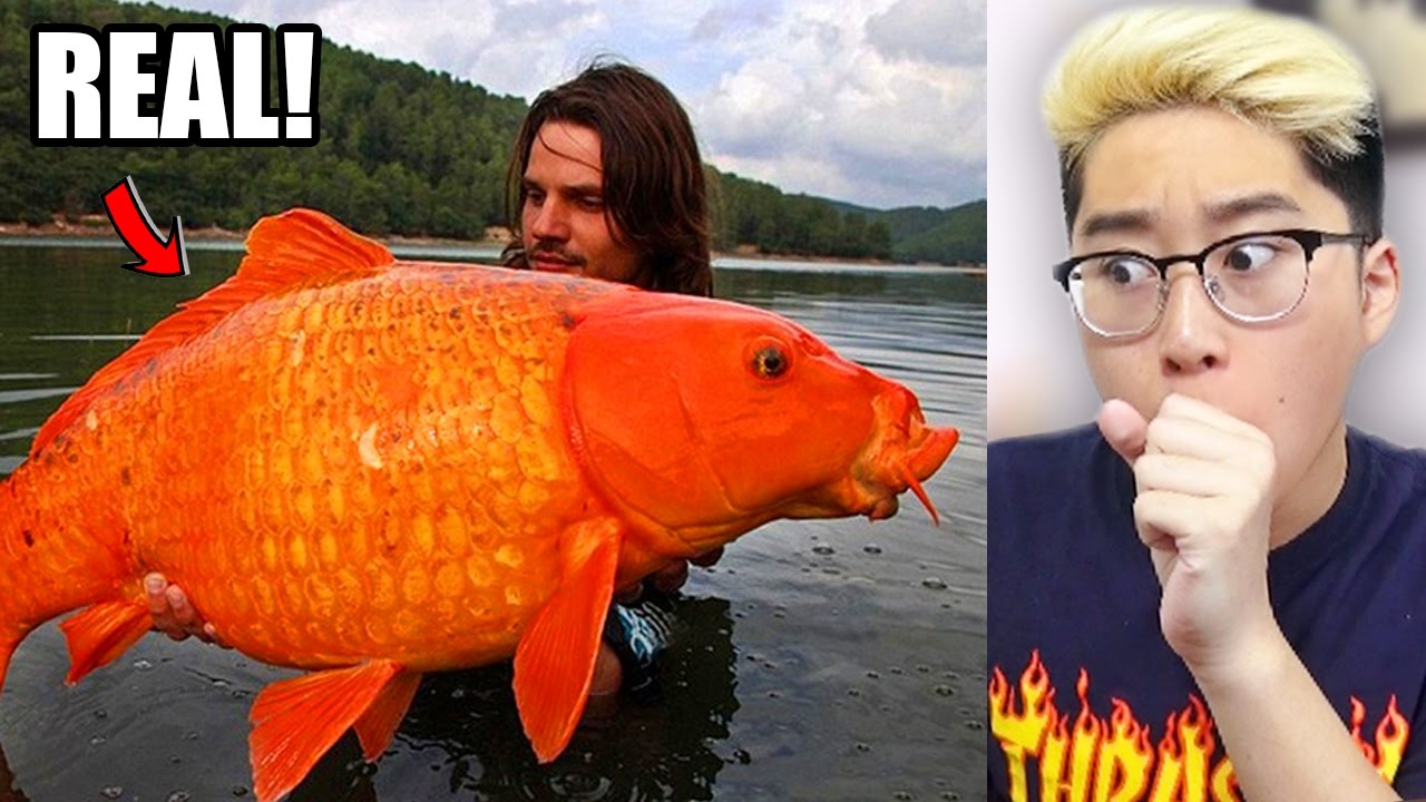 Photos That Look Photoshopped But Are 100% Real - YouTube